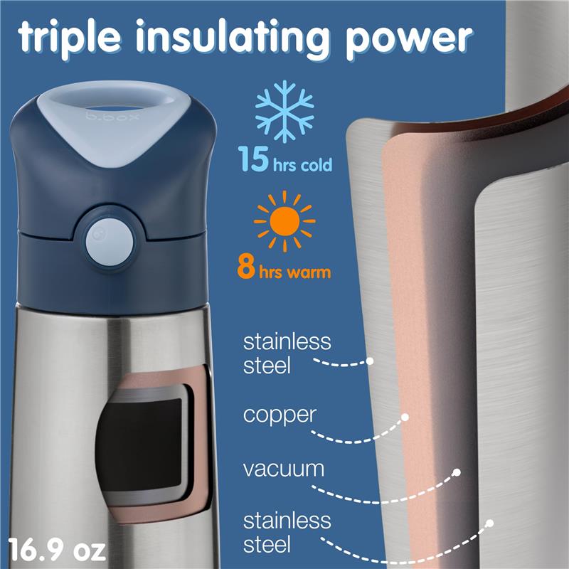 BBox - 16.9 Oz Insulated Water Bottle Blush Crush